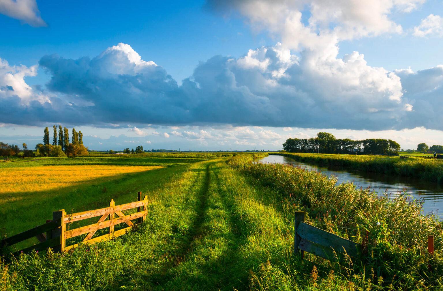 GreenDutch – CO2-reductie op Nederlandse natuur- en landbouwgebieden